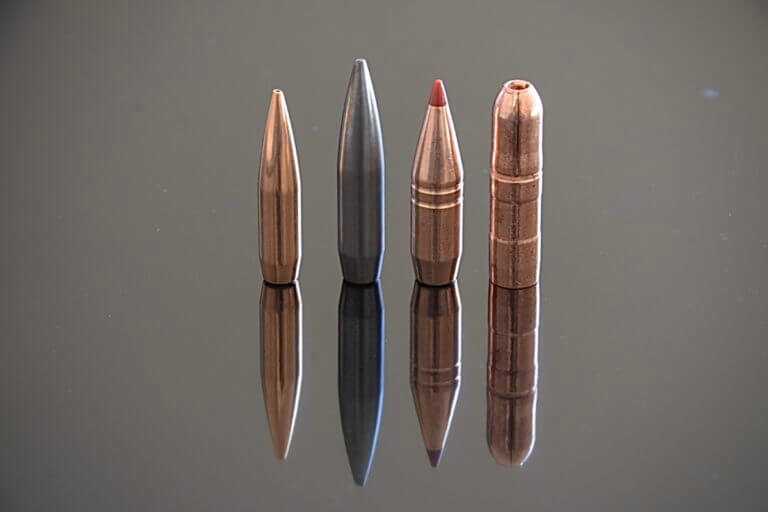 The Ultimate Suppressed Hunting Cartridge: 375 Raptor