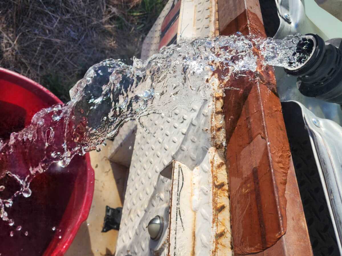 Baiting Deer 101: When, Why, and How